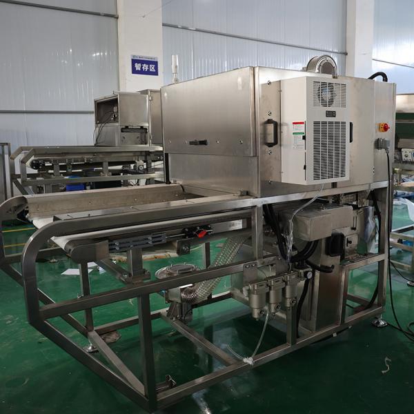Quality 304 Stainless Steel AI Coffee Variety Sorting Machine 220V/50Hz for sale
