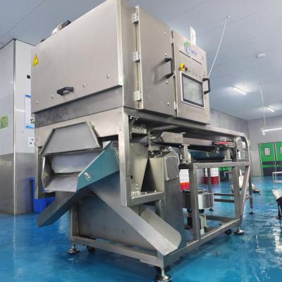 China Dried Strawberry Sorter With Image Recognition Quick Response, Precise Sorting, And Improved Production Efficiency for sale