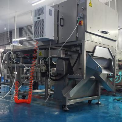 China Corn Grading And Sorting Machine For  Processing, Improving Production Efficiency And Quality for sale