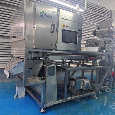 China Corn Grading And Sorting Machine For  Processing, Improving Production Efficiency And Quality for sale