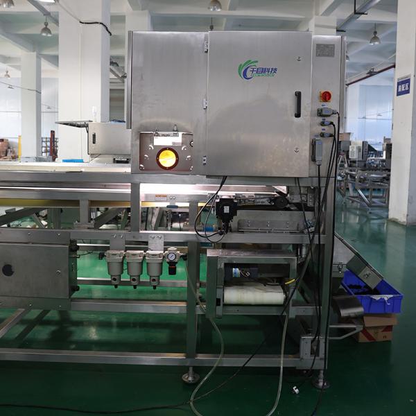 Quality Professional 5.5KW AI Color Sorter With Image Detection And Ultra High Definition Camera for sale