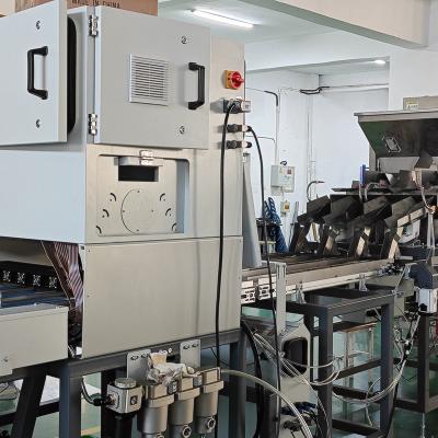 China AI image recognition baked onion sorting machine for sale