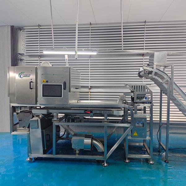 Quality Artificial Intelligence Driven Plastic Sorting Machine - Suitable For Harsh for sale