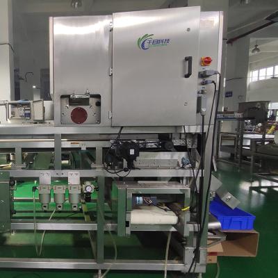 China Precision Coffee Bean Color Sorter with Touchscreen Display and Throughput for sale