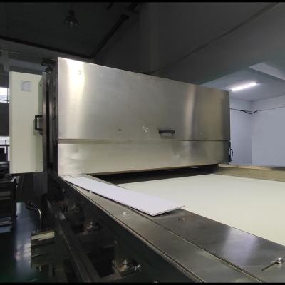 China Advanced Medium Resolution Image Recognition Chlli Pepper Color Sorter with 304 Stainless Steel Body for sale