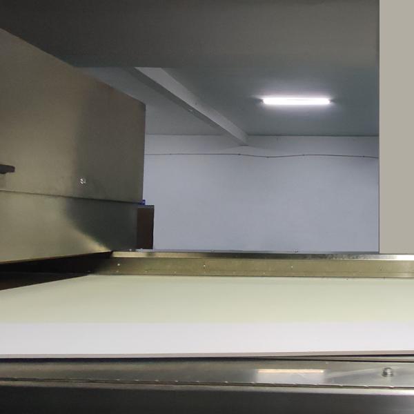 Quality Advanced Medium Resolution Image Recognition Chlli Pepper Color Sorter with 304 for sale