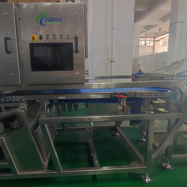 Quality Professional Colour Sorter Machine with Dual Definition Resolution Cameras for sale