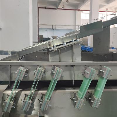 China Dehydrated Sweet Potato Cube Sorting System Identification and Advanced Imaging Sorting Solution for sale