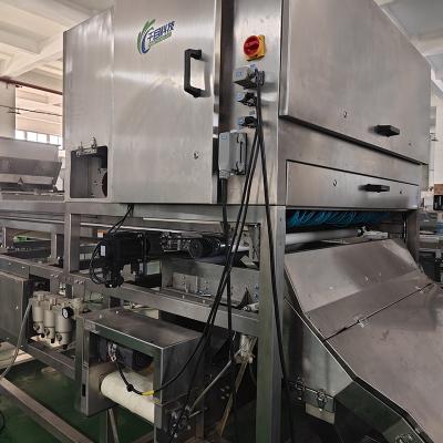 China Plastic color sorting machine with stainless steel 304 and medium resolution camera for sale