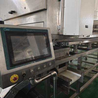 China Dried Shiitake Color Sorter， Revolutionizing Sorting Precision & Efficiency for sale