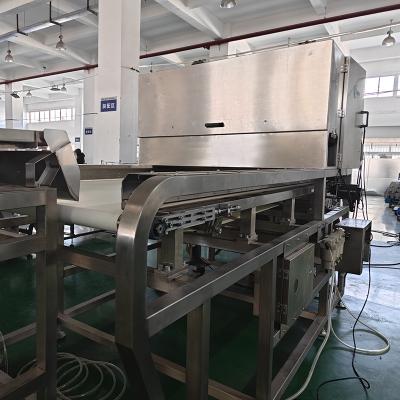 China 304 Stainless Steel Dried Eggplant Strip Color Sorter, Intelligent Recognition Of Multiple Materials, Improves Production Efficiency And Accuracy for sale
