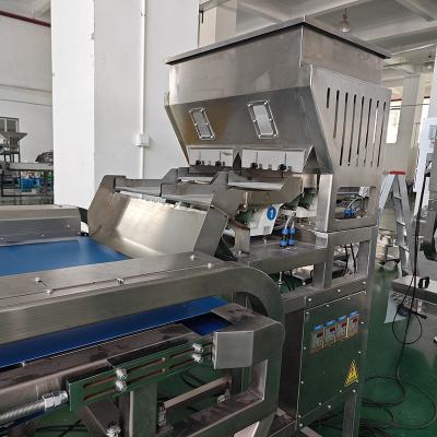 China Accurate Customized Industrial Camera Sorting Machine for sale