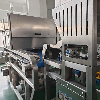 China Advanced Industrial Sorting System with Imaging Spectroscopy Technology for Reliable Identification for sale