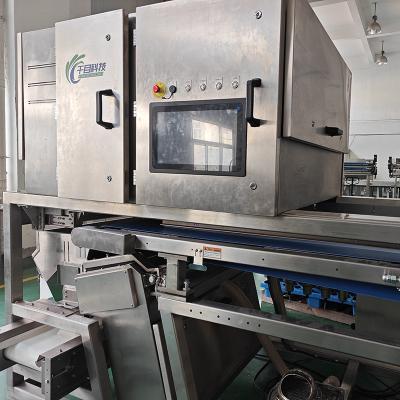 China Advanced Industrial Sorting System with Imaging Spectroscopy Technology for Reliable Identification for sale