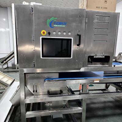 China Intelligent And Efficient Auricularia Sorter: Precise Sorting, New Choice For Improving Quality for sale