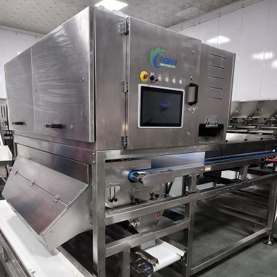 China Intelligent And Efficient Auricularia Sorter: Precise Sorting, New Choice For Improving Quality for sale