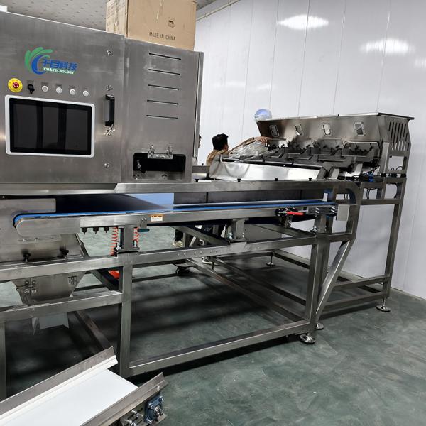Quality KMS-1000 High Tech Coffee Bean Color Sorter Power 5.5-7.5kw for sale