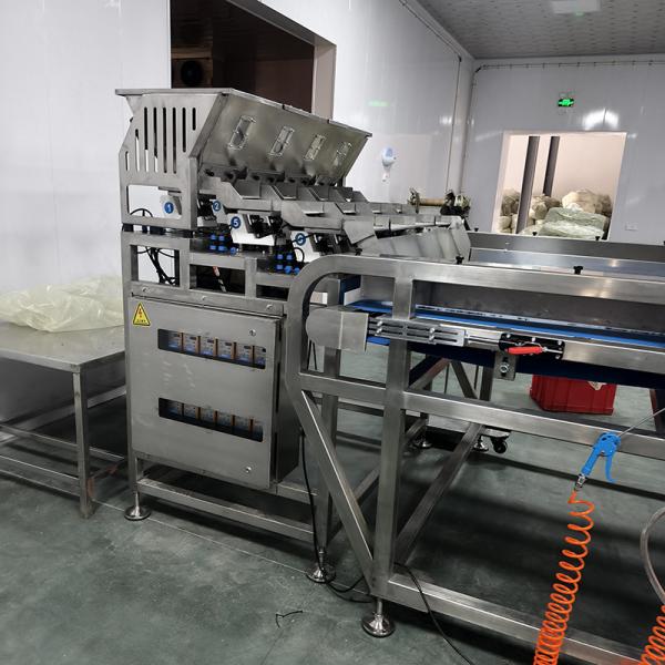 Quality Intelligent Tea Color Sorting Machine, Suitable For Complex Materials, Ensuring for sale