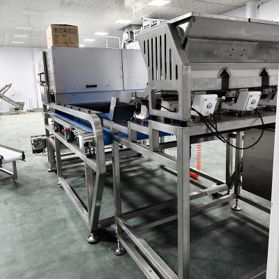 China Chili Pepper Sorter, AI Sorting Machine That Integrates Recognition, Sorting, And Statistics for sale