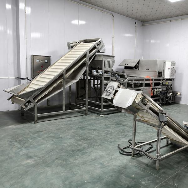 Quality Steel Nails industrial product AI sorting machine for sale