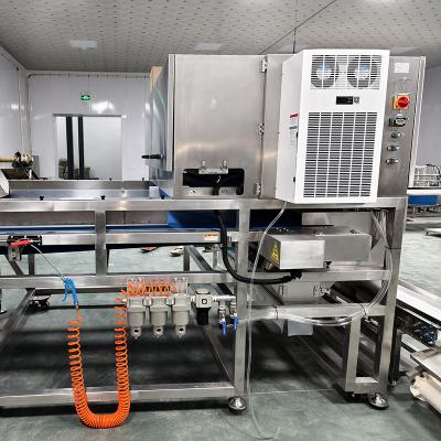 China KM-1000 Dried Apple Dice Color Sorter with Optional 201/304 Material for sale