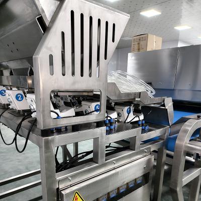 China Multifunctional Color Sorter for Dried Seaweed Sheets for sale