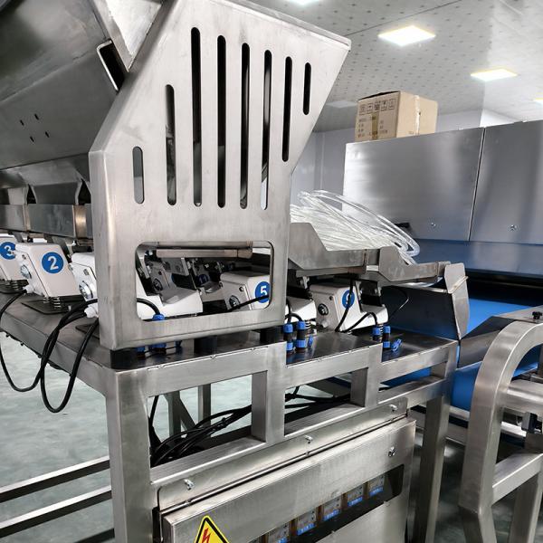 Quality Multifunctional Color Sorter for Dried Seaweed Sheets for sale