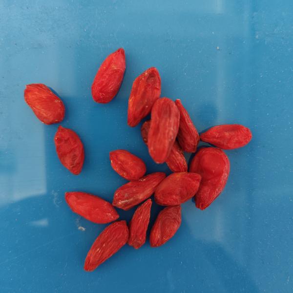 Quality Wolfberry Sorting Machine with Advanced Imaging and Spectroscopy Technology for sale