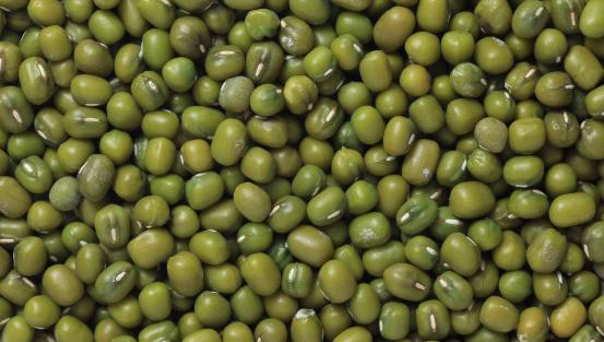 Quality 304 Stainless Steel AI Coffee Variety Sorting Machine 220V/50Hz for sale