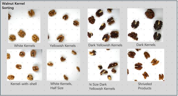 Quality KMAT Walnut Kernel Color Sorter Machine 8kW for sale