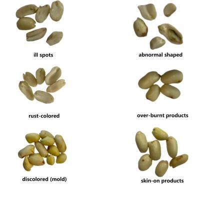 China KMAT Advanced AI Image Sorting Peanut Sorter for sale