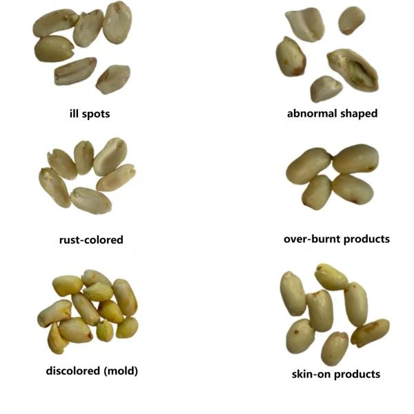 Quality KMAT Advanced AI Image Sorting Peanut Sorter for sale