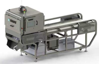 China High Accuracy Fried Clam Meat Color Sorter Machine for sale