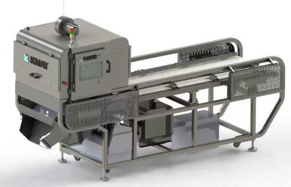 Quality High Accuracy Fried Clam Meat Color Sorter Machine for sale