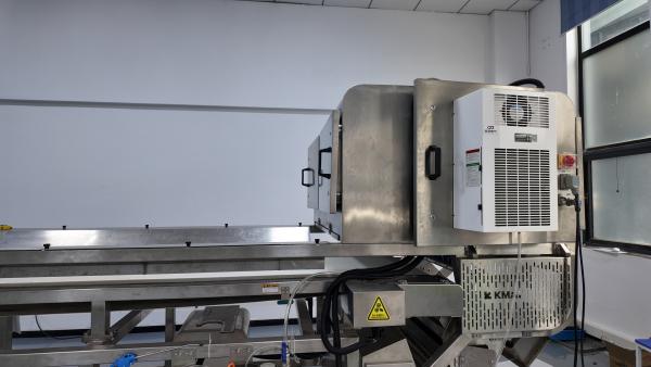 Quality Multifunction Color Sorter For Chicken Cube Sorting for sale