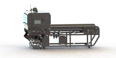 China Multifunctional Color Sorter for Dried Seaweed Sheets for sale