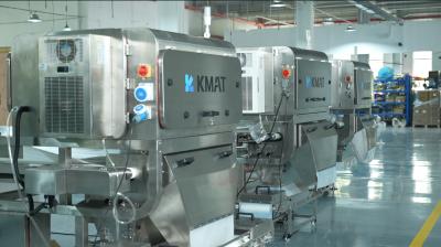 China Lithium-ion Battery Sorting Machine Based On Image Recognition, Achieving Efficient Product Sorting for sale