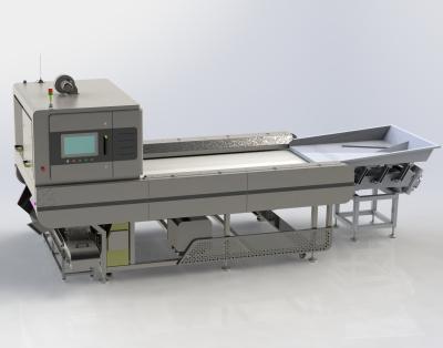 China Chopped Chili Sauce Customized AI Color Sorter for sale