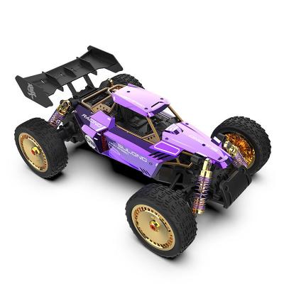 China Large Alloy RC Car for Off-Road Climbing Front and Rear Shock Absorbers 14 Years Up for sale