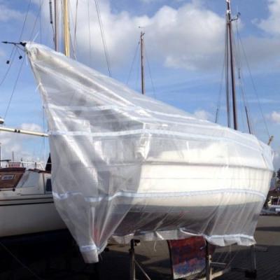 China 4mm Waterproof Fire Retardant Clear PVC Transparent Mesh Fabric for Cover for sale