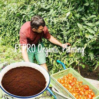 Cina L-alfa completamente dispersibile in acqua della polvere del fertilizzante organico di aminoacidi in vendita