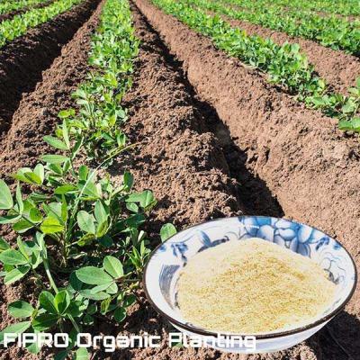 China Biological Soy Protein Hydrolysate Powder for sale