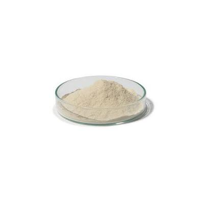 China Organic nitrogen source bacteriological Fish peptone powder for industry fermentation for sale