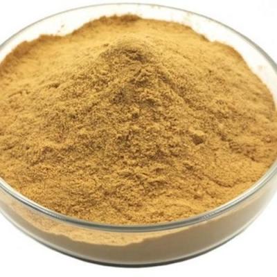 中国 TSE/BSE自由な窒素の源の企業の発酵のための細菌学の魚のペプトンの粉 販売のため