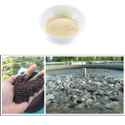 中国 抗菌性の魚蛋白質の水解物の粉機能免疫の刺激 販売のため