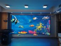 China Intelligent Polarized 3D Screen Modern Smart Campus Education Display Device for sale