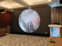 China Zero Strobe Polarized 3D Screen Low Crosstalk Medical Teaching Display Device for sale