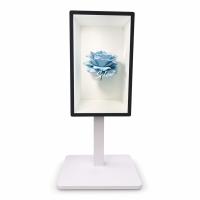 China Glasses-free 3D advertising display for sale