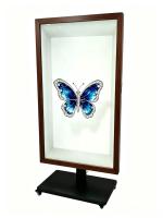 China 3D space screen for sale