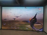 China Indoor full-color LED advertising screen for sale